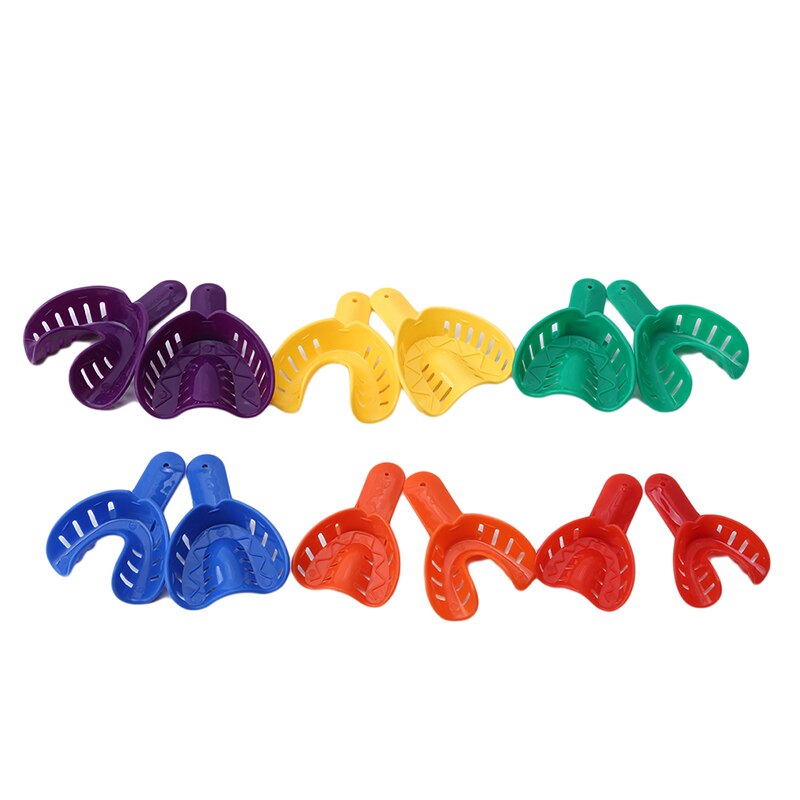 12pcs/set Teeth Rack Orthodontics Dental Plastic T... – Grandado