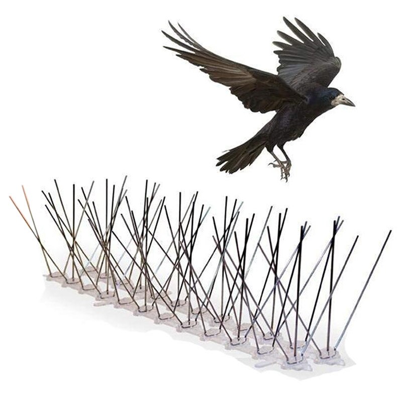 50Cm Eco-Friendly Stainless Steel Bird Spikes for ... – Grandado