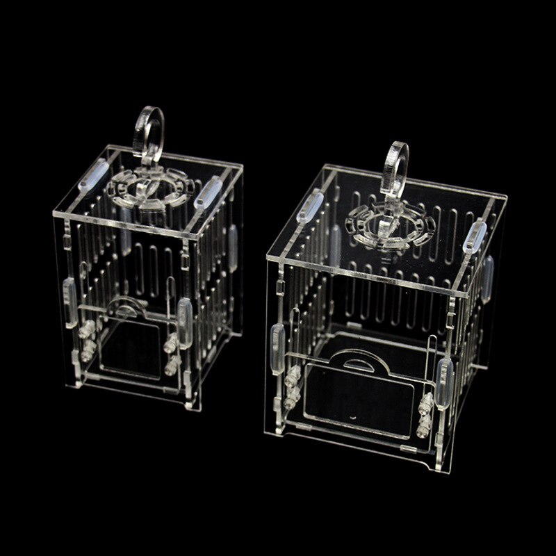 Acrylic Cricket Grasshopper Cage Reptile Insect Ne... – Grandado