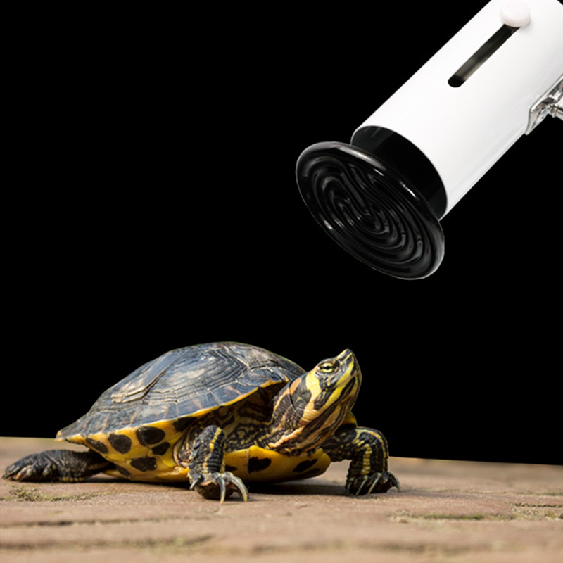 Pet Reptiles Tortoise Gecko Feeder Lighting Cerami... – Vicedeal