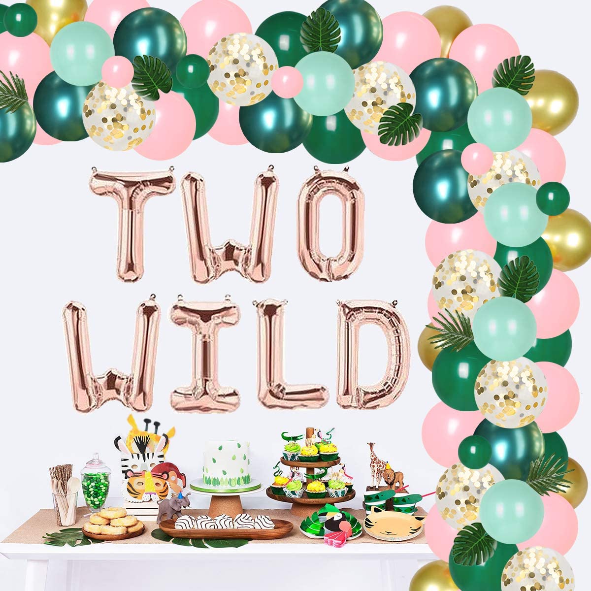 Two Wild Jungle Birthday Decorations for Girl 2 Ye... – Grandado
