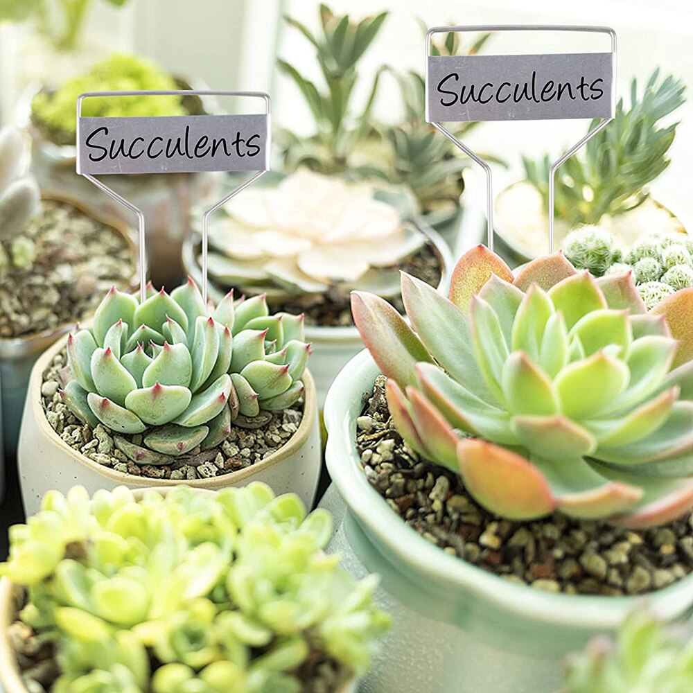 10 Pack Metal Plant Label with 1 Marker Pens, 4 6 ... – Grandado