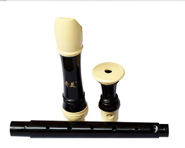 8 Holes German Alto Black Plastic Recorder F Key G... – Grandado