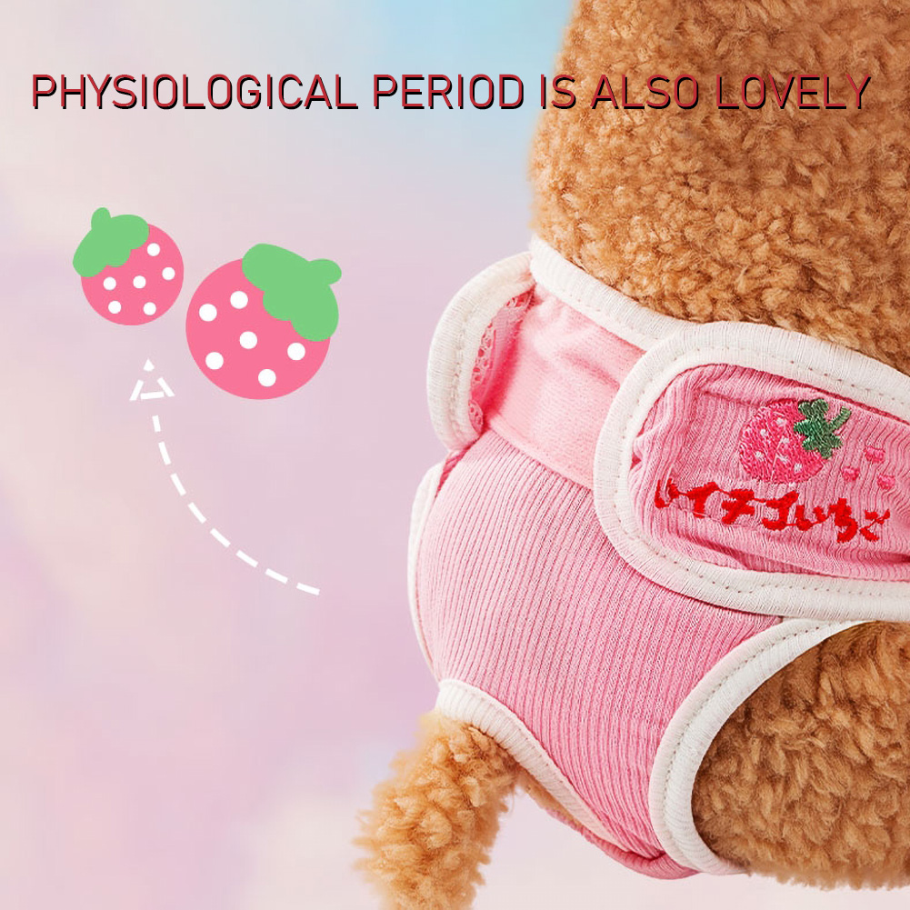 Dog Physiological Pants Sanitary Washable Female D... – Vicedeal