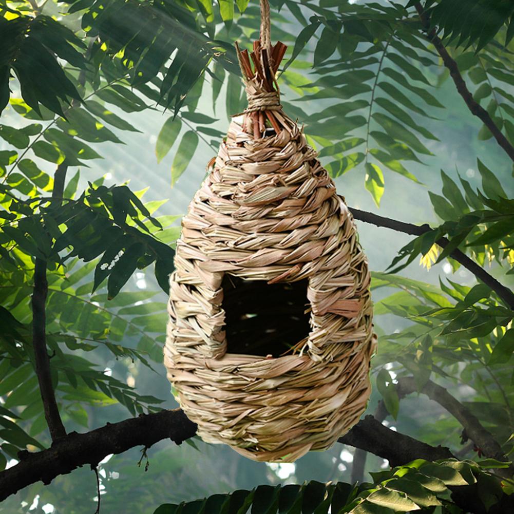 Birds Nest Bird Cage Natural Grass Egg Cage Bird H... – Vicedeal
