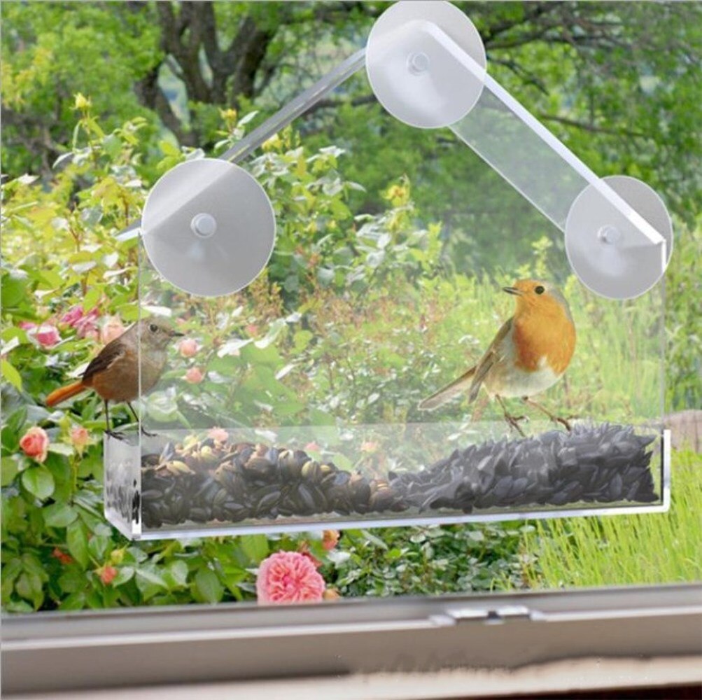 Bird Feeder Acrylic Transparent Window Viewing Bir... – Vicedeal