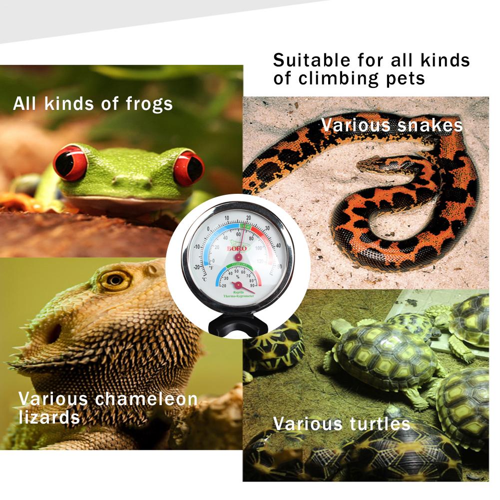 Reptile Amphibious Thermometer Hygrometer Luminous... – Grandado