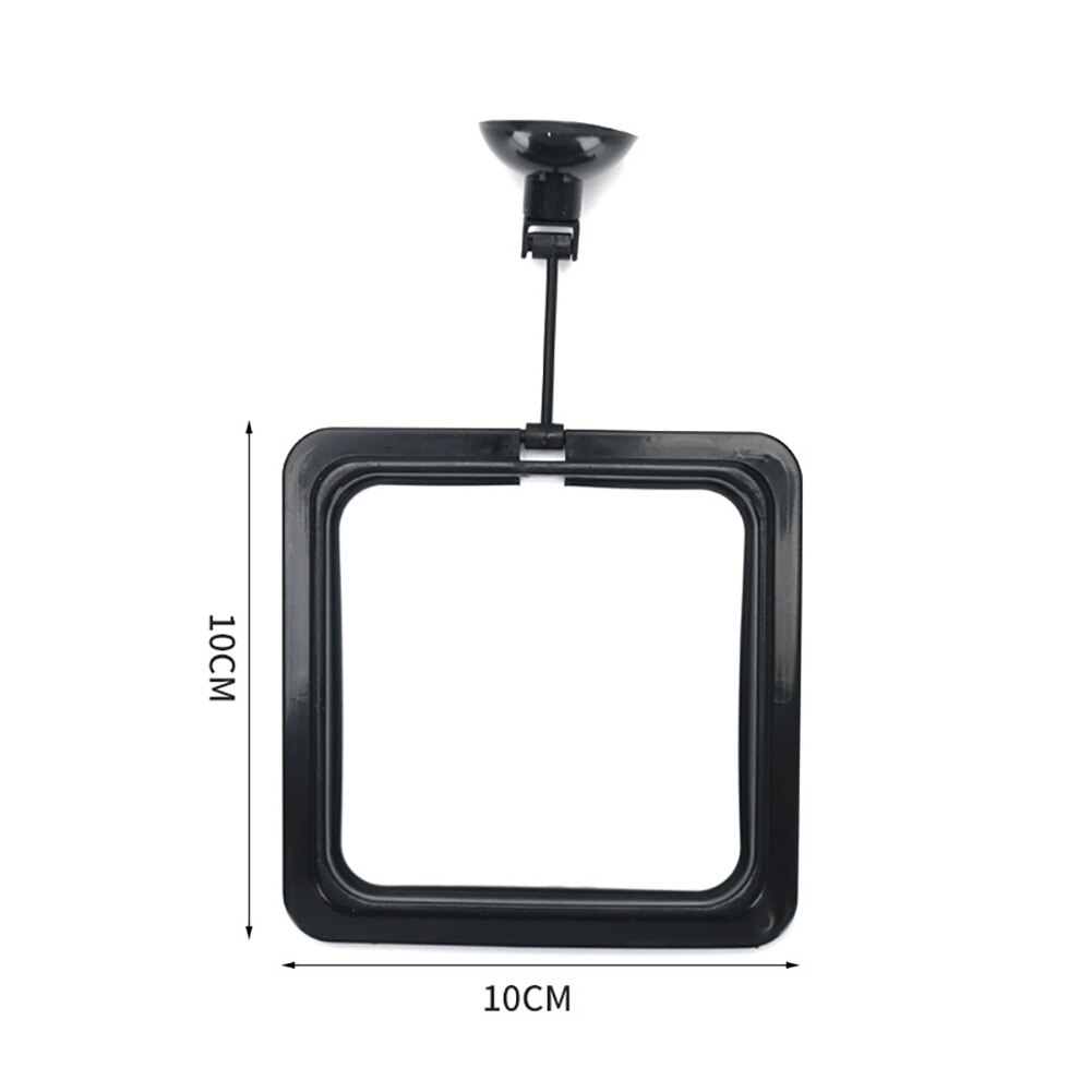 Fish Feeding Ring with Suction Cup Station Food Tr... – Vicedeal
