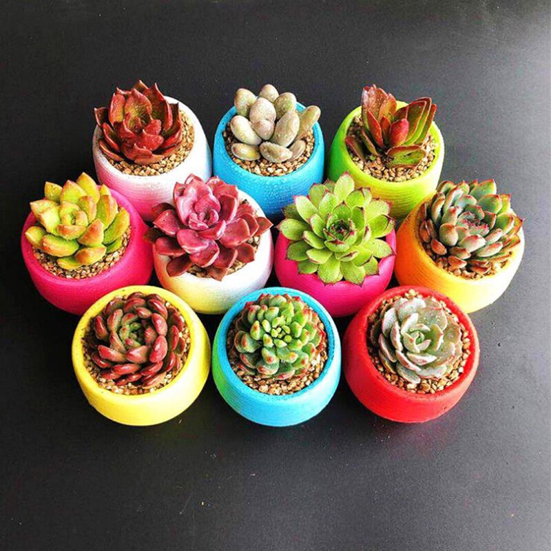 5Pcs Flower Pots Mini Round Plastic Flowerpot Nurs... – Vicedeal