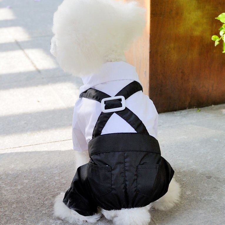 Mode Gentleman Puppy Hond Jumpsuit Rompertjes Lent... – Grandado