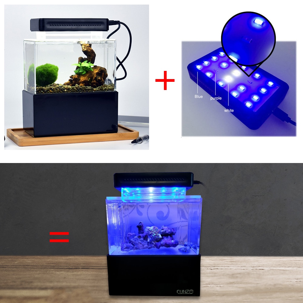 LED Lihgt Aquarium Mini Fish Tank with Blue Deskto... – Grandado
