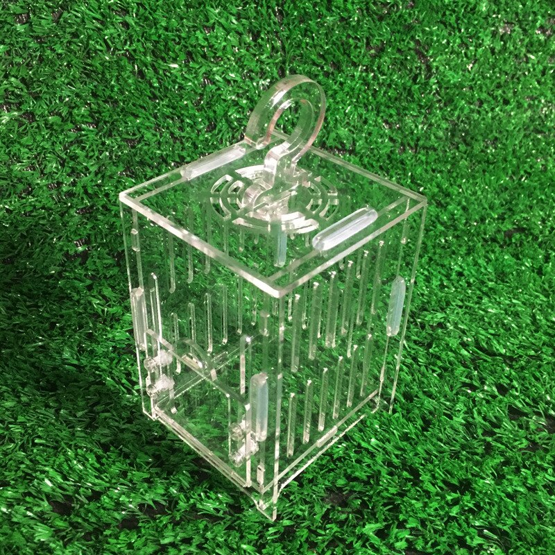 Acrylic Cricket Grasshopper Cage Reptile Insect Ne... – Vicedeal