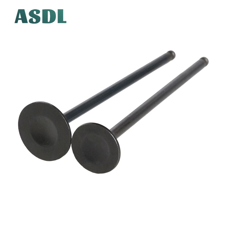 Motorcycle Intake and Exhaust Valves for Yamaha FZ... – Vicedeal