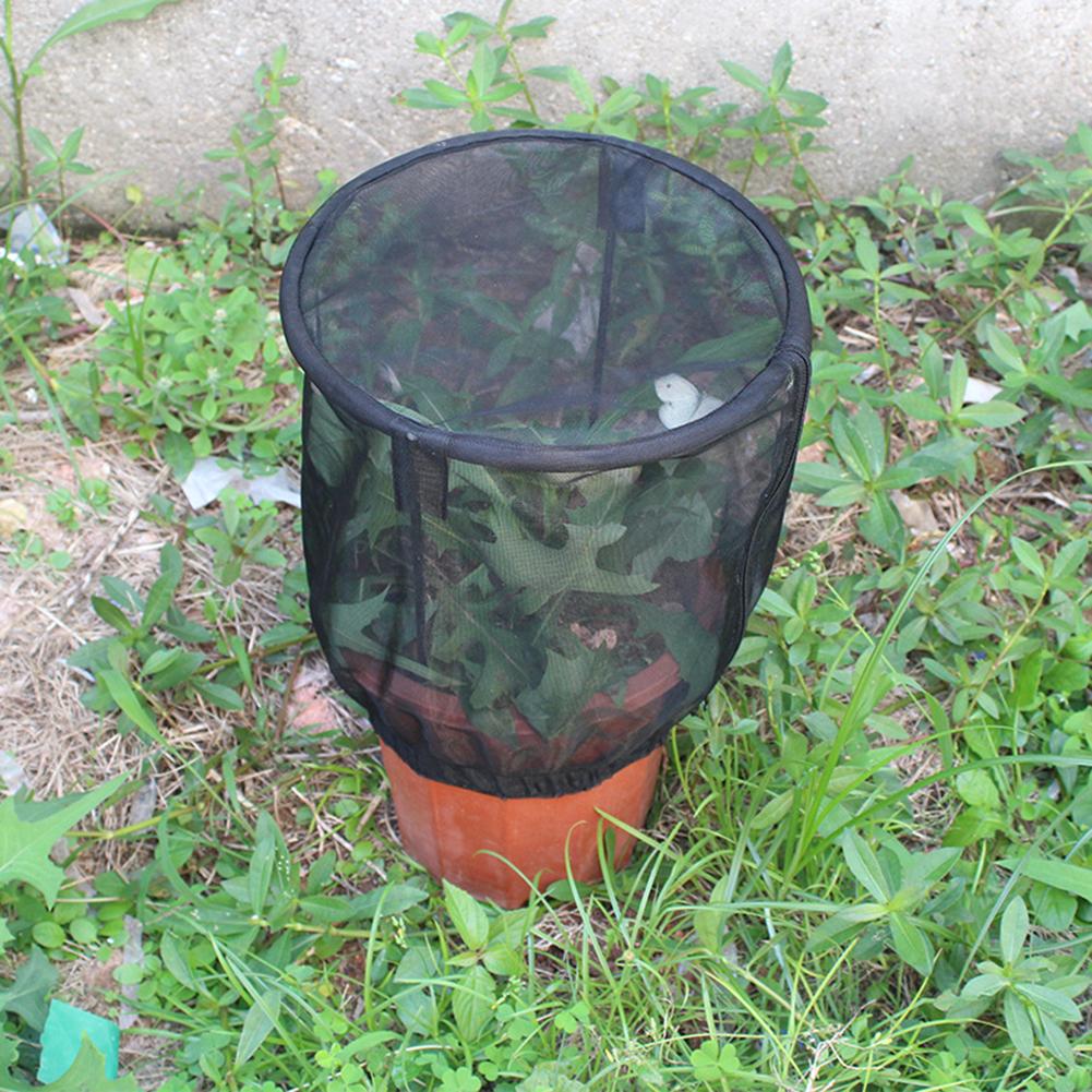Insect Butterfly Habitat Butterfly Feeding Net Cov... – Grandado