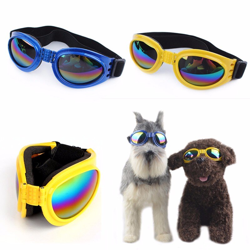 6 Colors Dog Eyewear Glasses Outdoor Prevention Wi... – Grandado