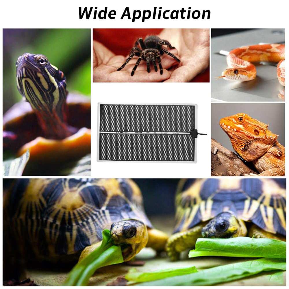 220V Terrarium Reptiles Heat Mat Reptile Brooder I... – Grandado