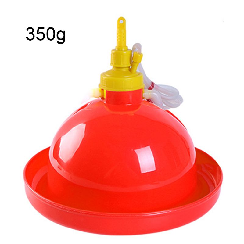 2022 Automatic Chicken Drinking Fountain Device Ro... – Grandado