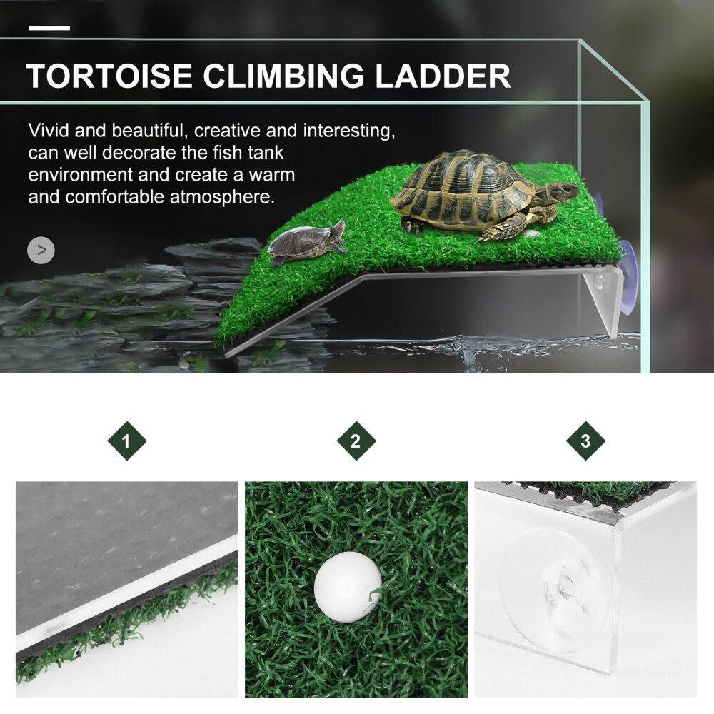 Tortoise Climbing Platform Turtle Reptile Climbing... – Grandado