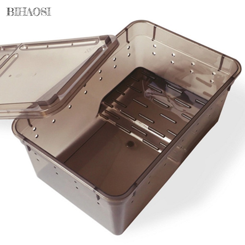 5pieces Reptile feeding box amphibious feeding box... – Grandado