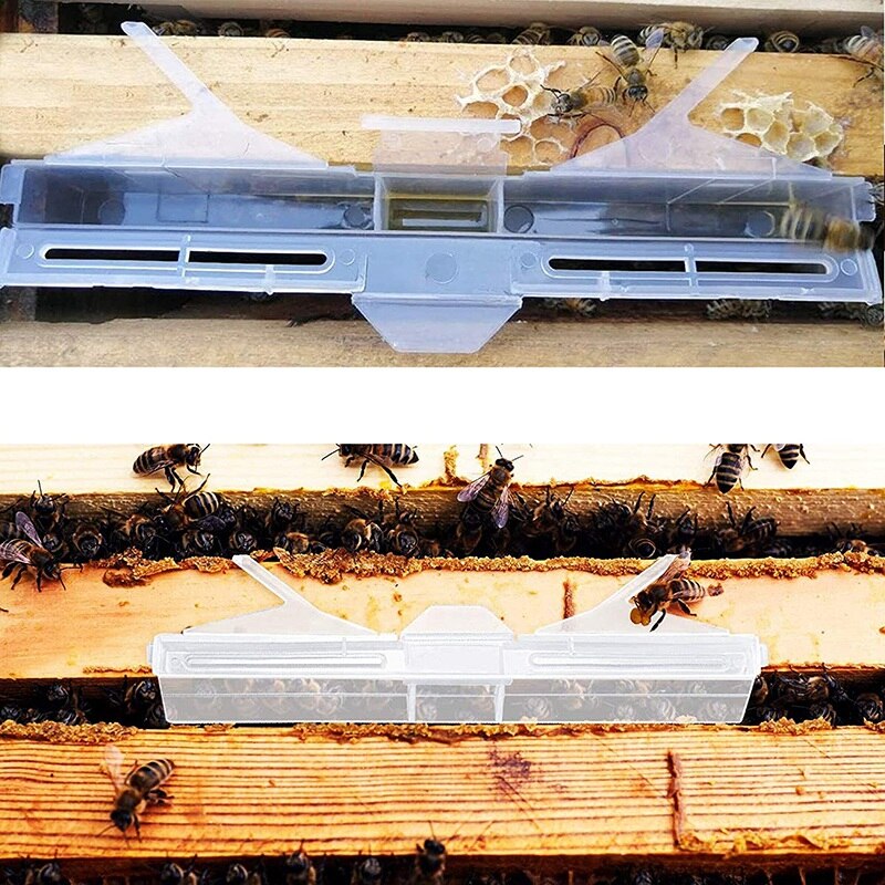 Clear Plastic Hive Beetle Oil Collector, Beekeepin... – Vicedeal