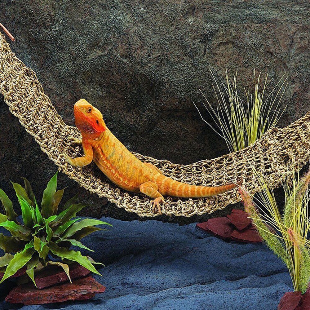 Seaweed Lizard Hammock Pet Lounger Reptile Toy Han... – Vicedeal