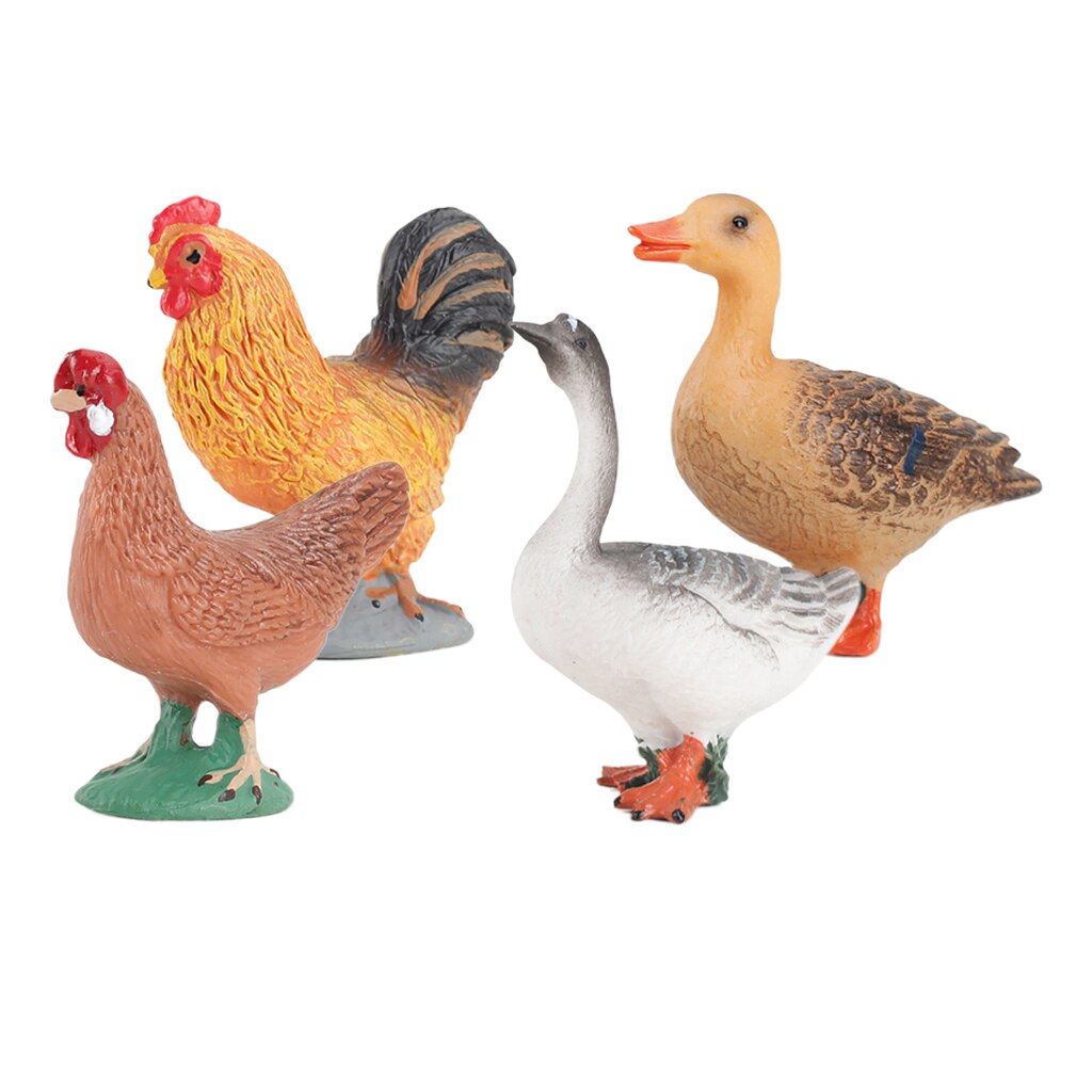 4pcs Poultry Realistic Farm Animal Model Figurines... – Grandado