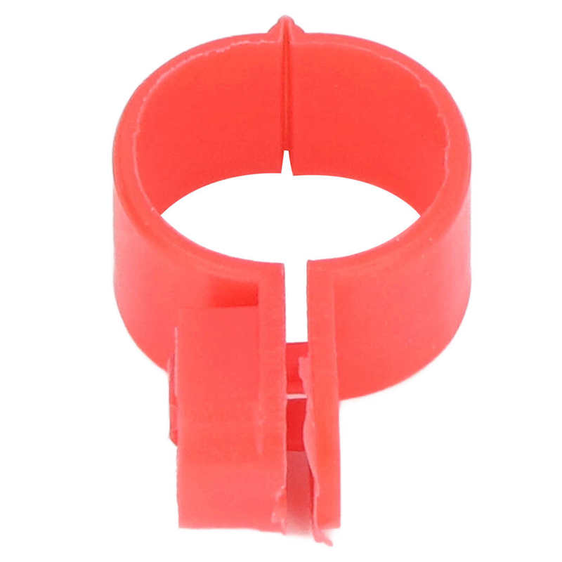 Chicken Leg Bands Find Poultry Chicken Identificat... – Grandado