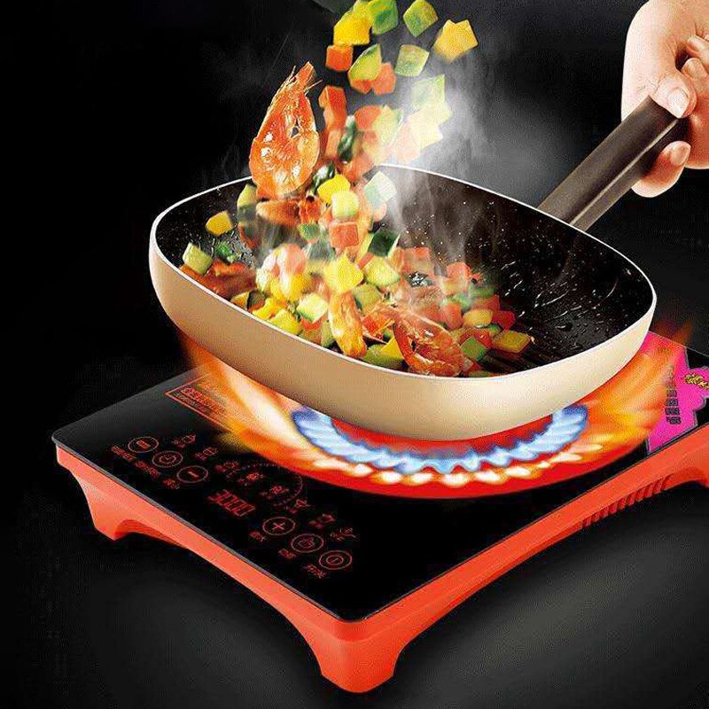 Commercial Induction Cooker 3000 Watt High Power I... – Grandado