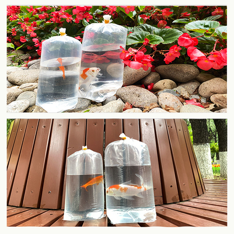 50 Pcs Aquarium Breathing Bags Breathing Bags Live... – Grandado