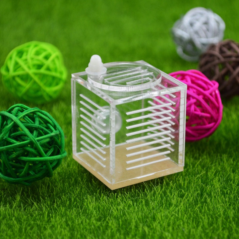 square ant farm food feeder,food feeding area for ... – Grandado