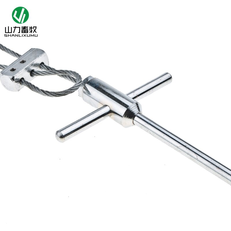 Full metal Baoding pig device Baoding fixed animal... – Vicedeal