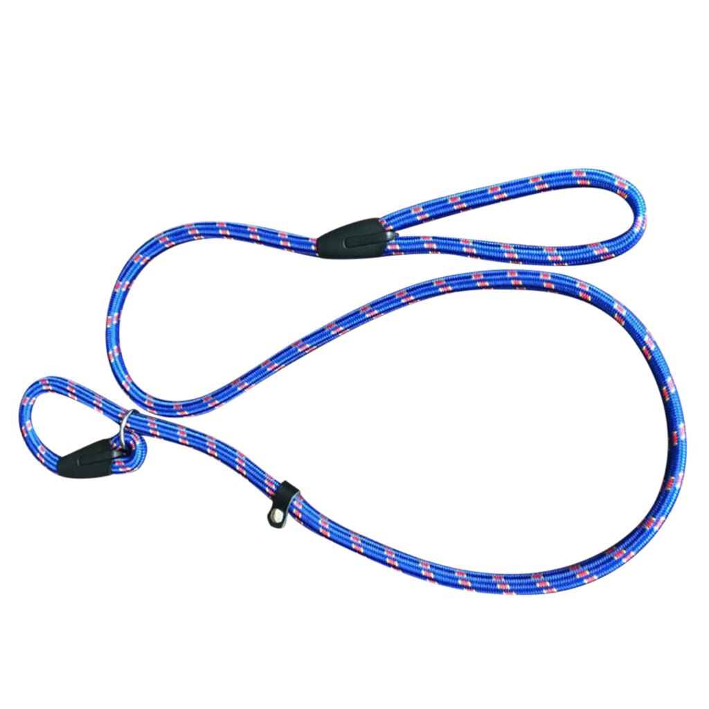 25# Nylon Dog Training Leash Dogs P Chain Slip Col... – Grandado