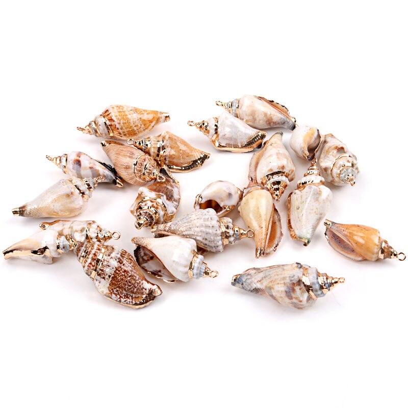 plating Spiral Cut Shell For Scrapbook Craft DIY H... – Vicedeal