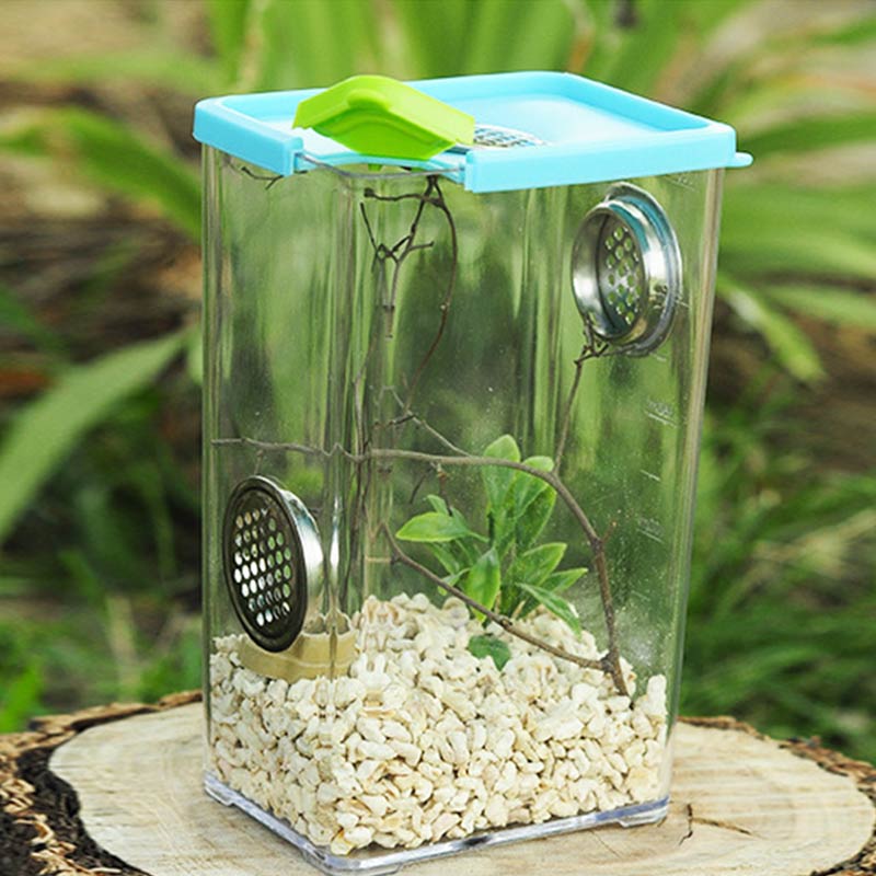 Insect Reptile Spider Terrariums Feeding Box Repti... – Vicedeal