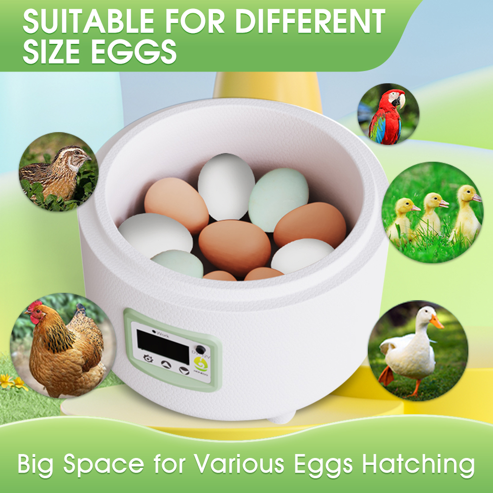 9 Eggs Incubator Simple operation Chicken, Duck an... – Vicedeal
