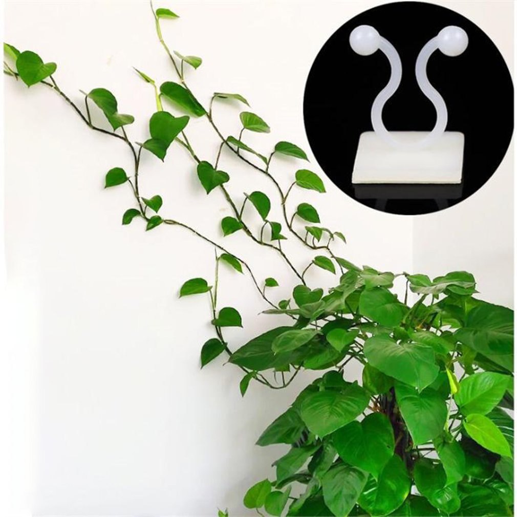 Plant Climbing Wall Fixture Plant Fixed Buckle Gre... – Grandado