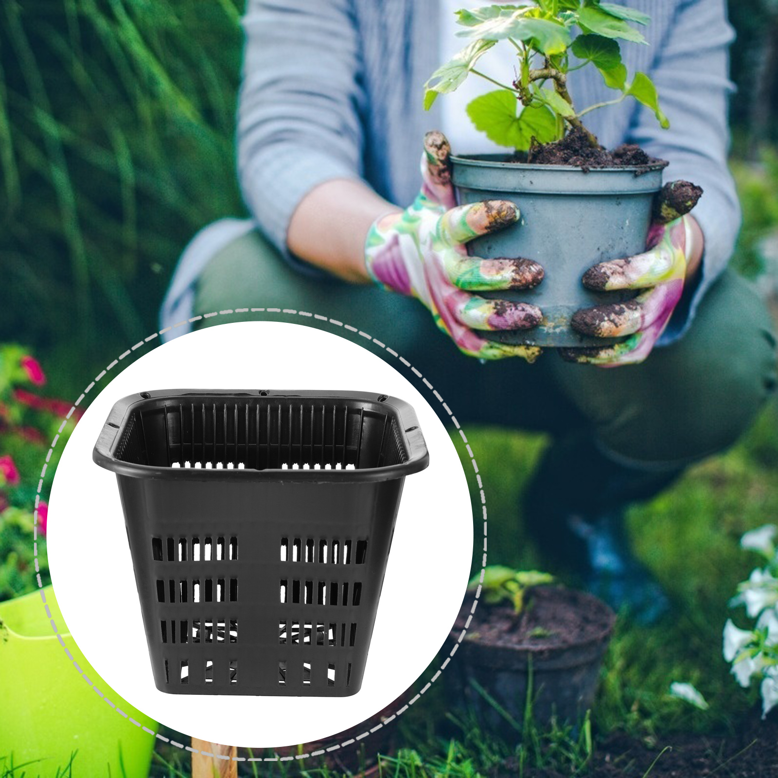 12 Stuks Hydroponic Bassin Plant Kweek Mand Contai... – Vicedeal