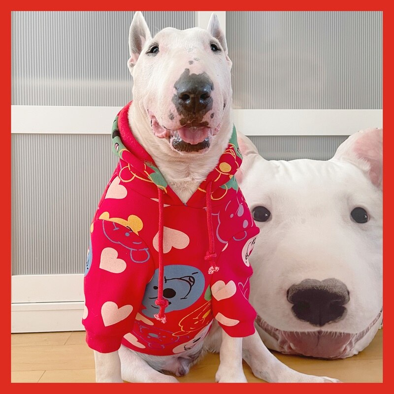 Winter Dog Hoodie Bull Terrier Clothes Samoyed Hus... – Vicedeal