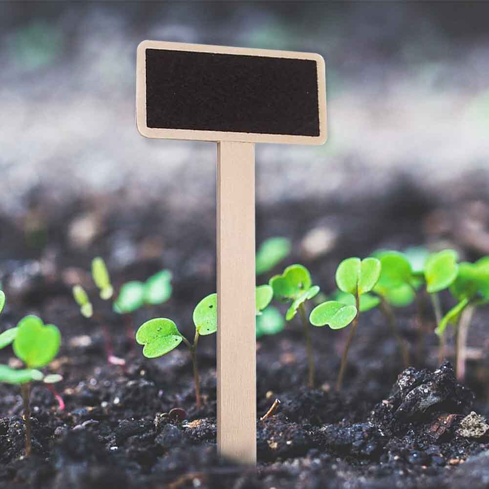 20pcs/set Vegetable Labels Flowers Pot Decor Chalk... – Grandado