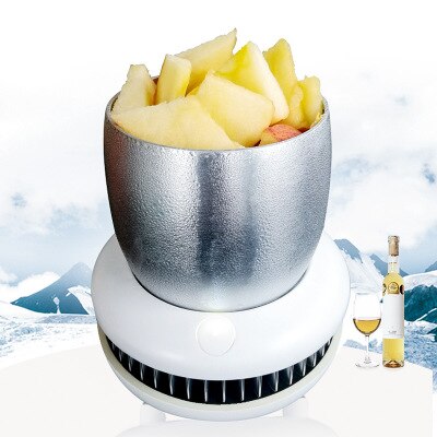 12V 220V Dual Portable Mini Refrigerator Electric ... – Vicedeal