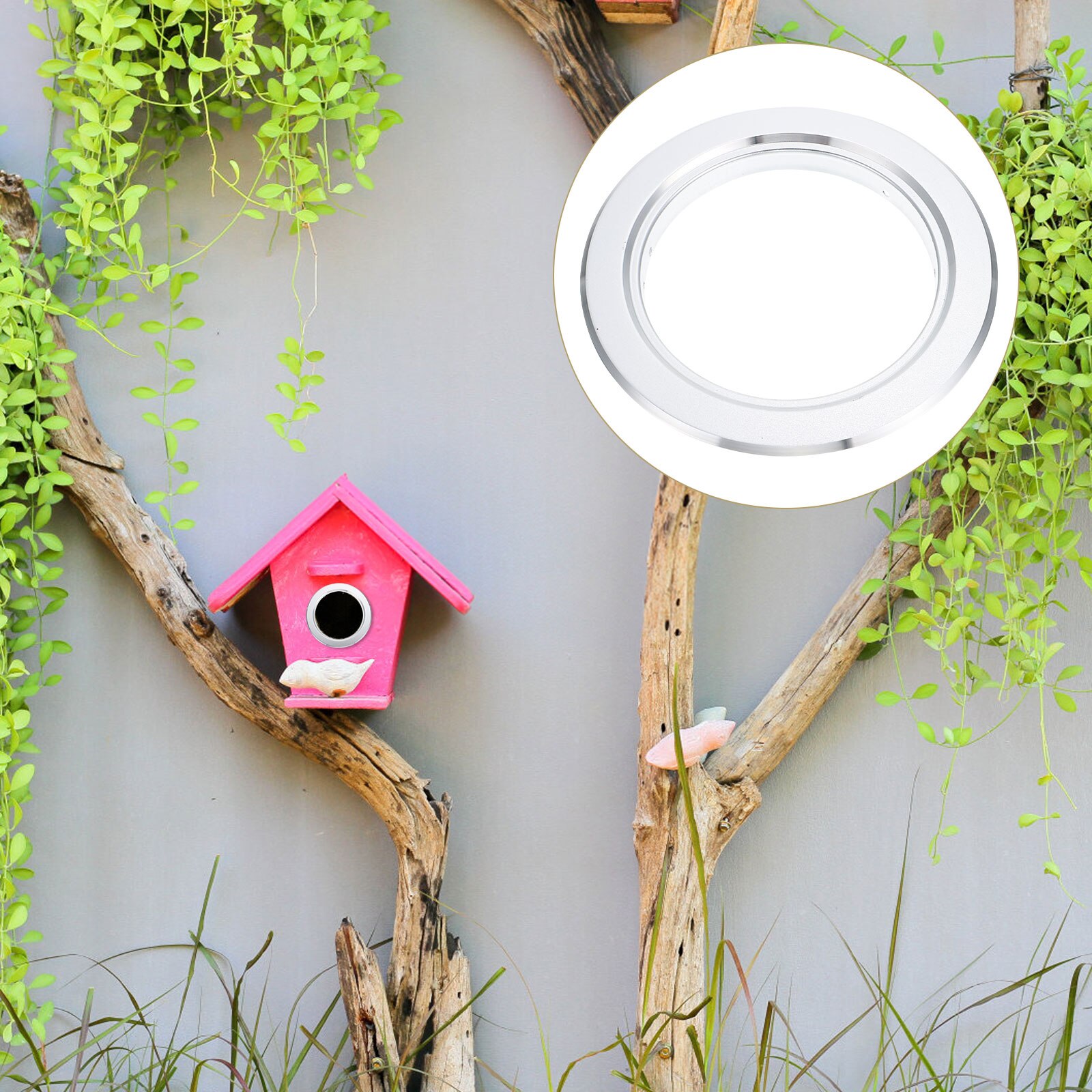 4pcs Rings Birds Nest Anti-bite Ring Birds Breedin... – Grandado