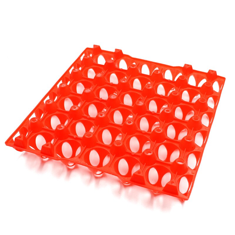 2 pcs Farm Chicken Egg Tray Egg Storage Rack Chick... – Grandado