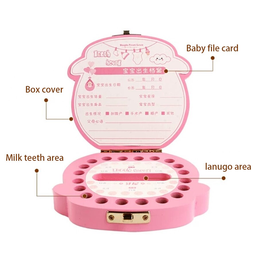2 in 1 Baby Tooth Box With Photo Frame Caja Diente... – Vicedeal