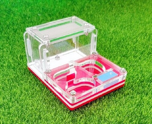 1PCS Mini Flat Ant Nest Acrylic Nest C (multi Colo... – Grandado