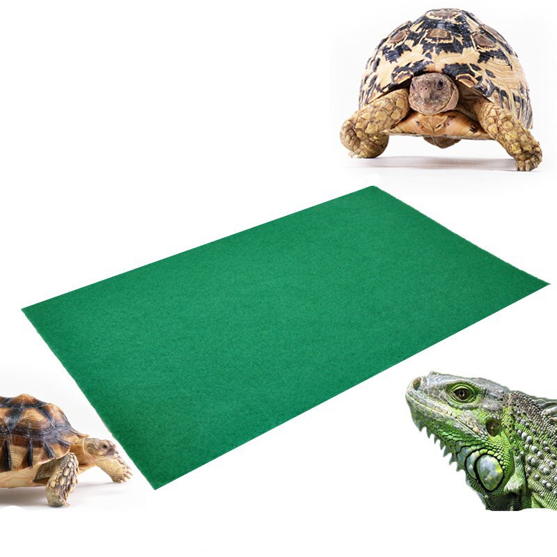 80x40cm Reptiles Carpet Liner Snakes Lizards Terra... – Vicedeal