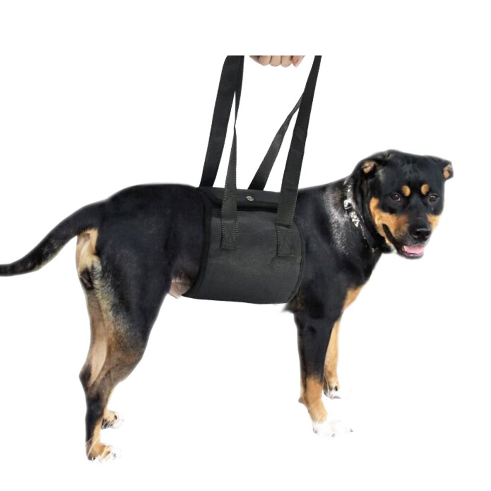 QQQPET Dog Waist Harness lift Harness Support Slin... – Grandado