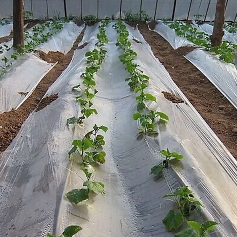 95cm*20m Fruit Vegetable Protection Plastic Film B... – Grandado