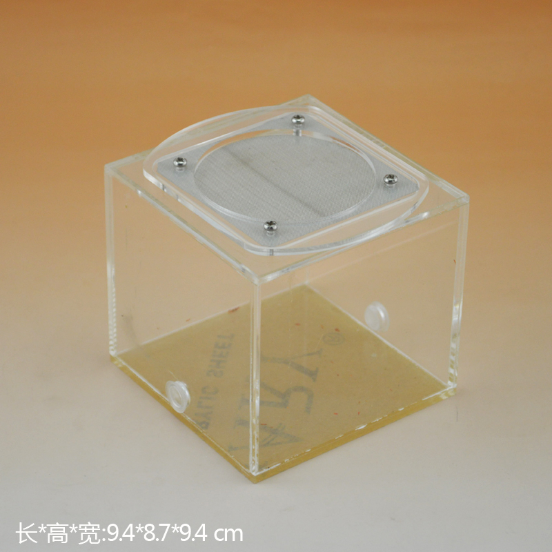 Acrylic feeding box with lid, feeding box, spider ... – Grandado