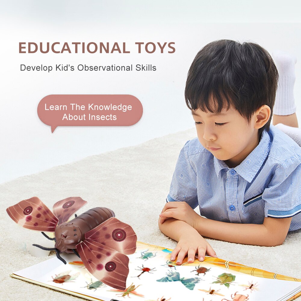 Remote Control Moth Toys Simulated Insect Toys Inf... – Vicedeal