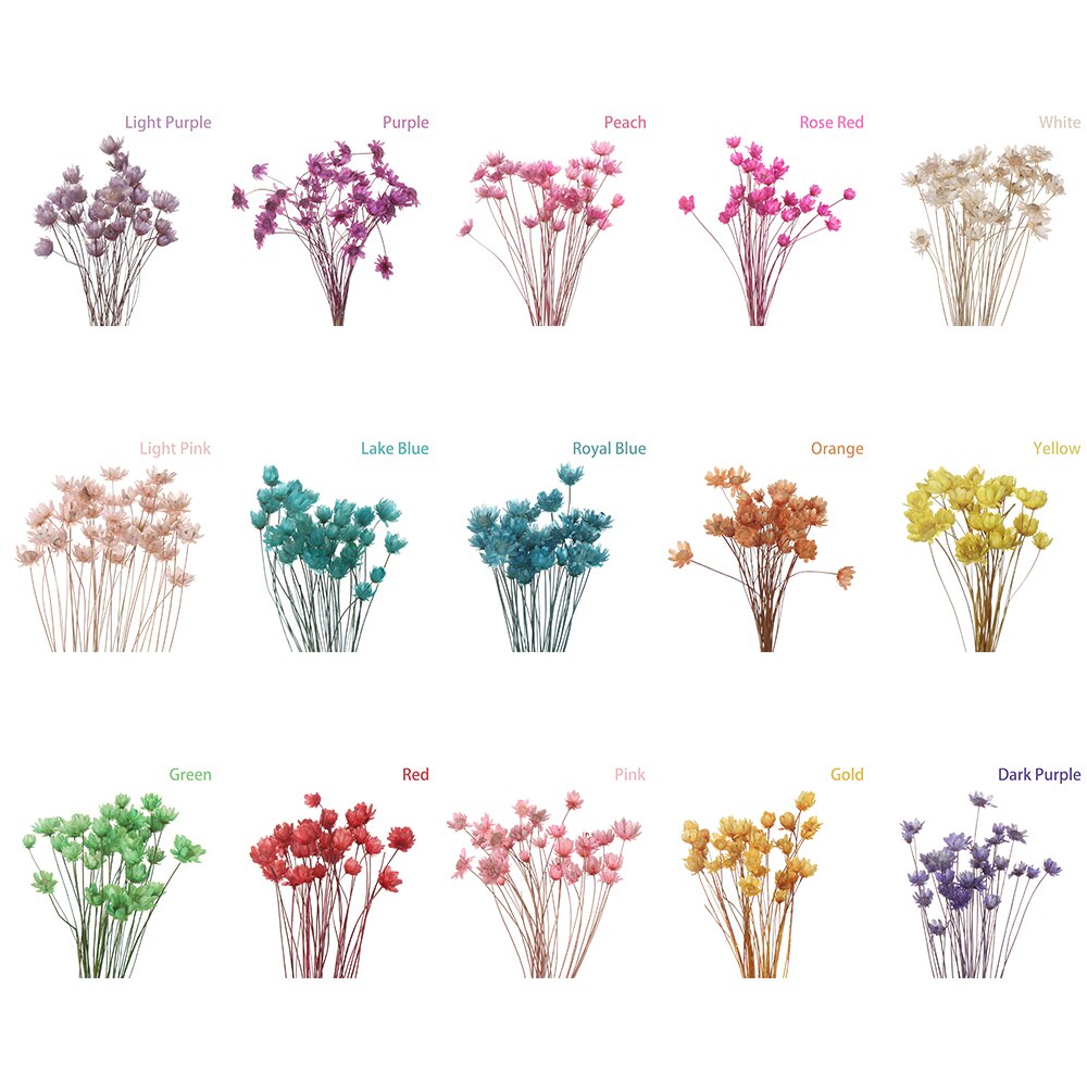 30Pcs Mini Daisy Kleine Ster Bloemen Ornamenten Ge... – Vicedeal